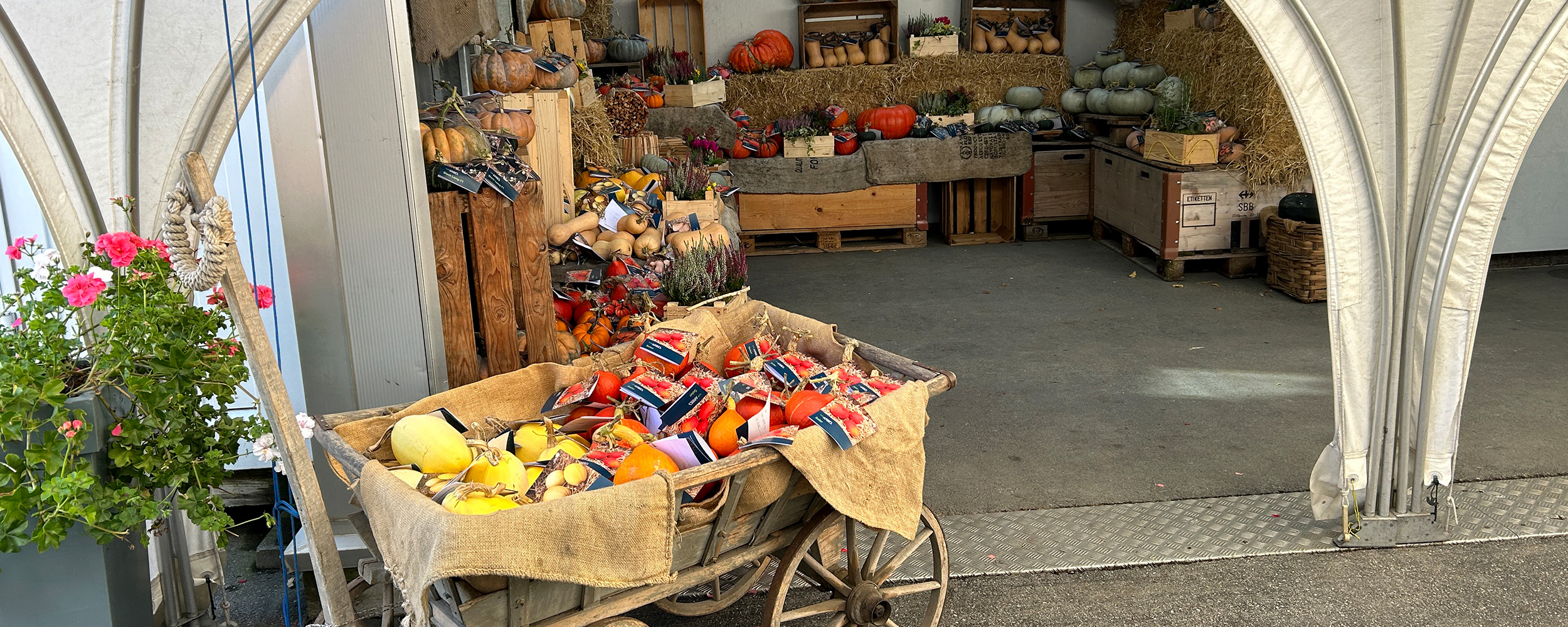 Rückblick auf den ARBES Herbstmarkt 2024 - Psychiatrische Dienste Graubünden (PDGR)